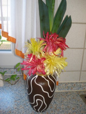 Цветы из лука-порей : Украшение блюд. Шаг-за-шагом